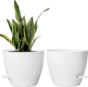 10 Best Indoor Self-watering Pots for Your Plants - Planter Galleria